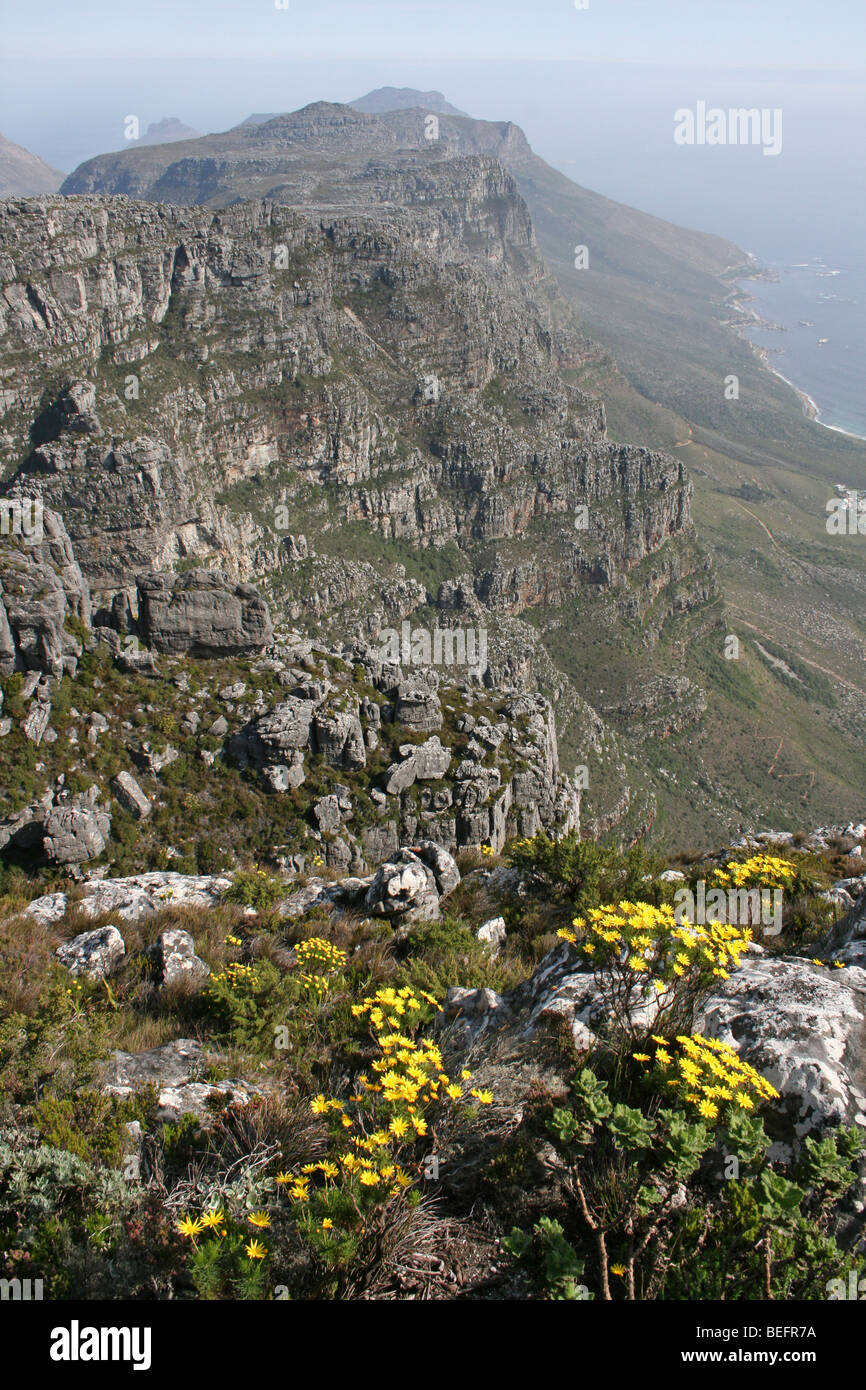 Table Mountain Views High Resolution Stock Photography and Images - Alamy