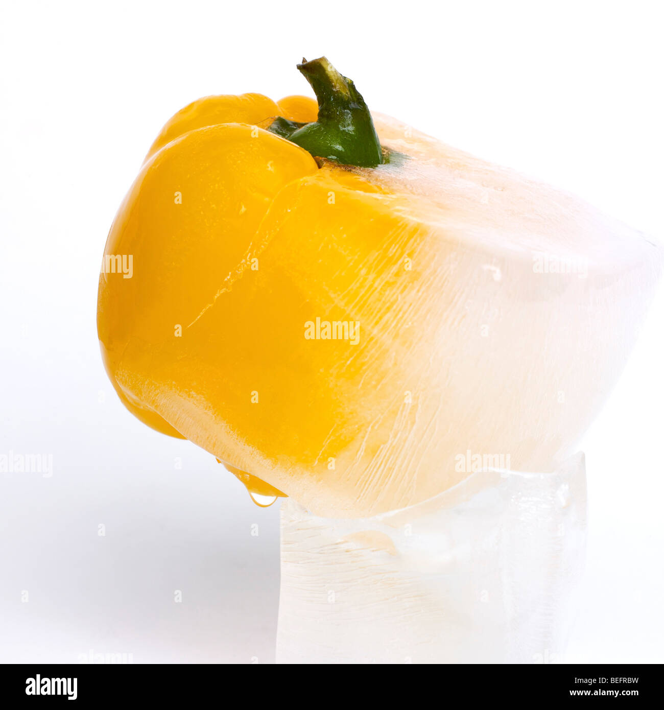 Yellow pepper locked into an ice cube Stock Photo - Alamy