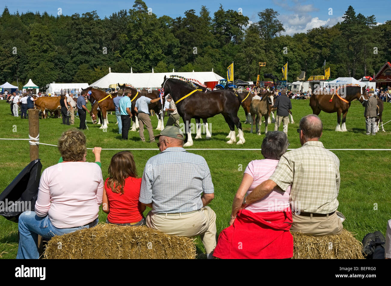 Spectators people watching heavy horse competition in summer Gargrave ...