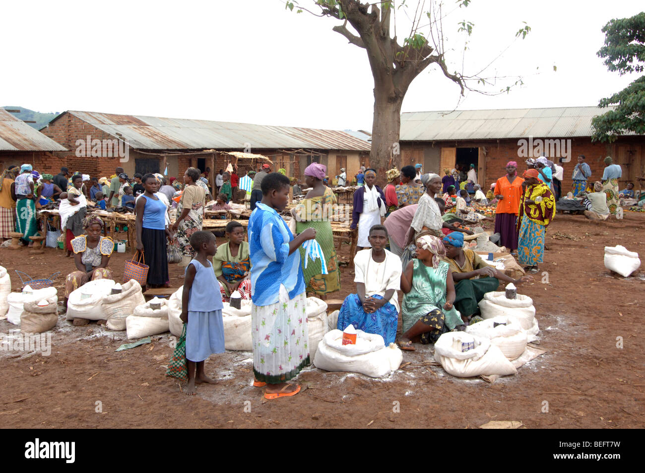 Bakonzo women selling food in market town, Rwenzori Mountains, West ...