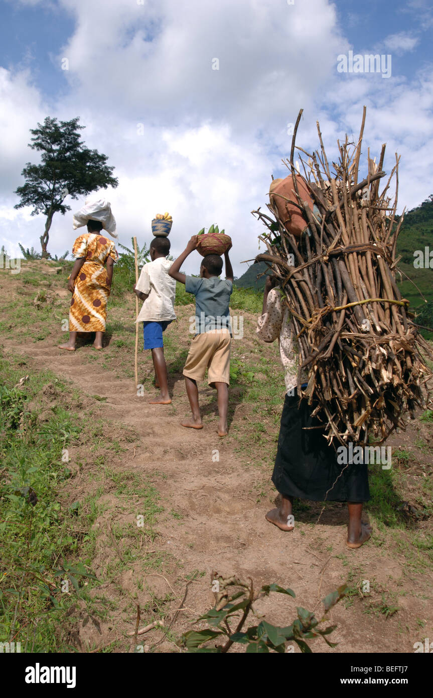 Bakonzo family returning home, Rwenzori Mountains, West Uganda, Africa ...