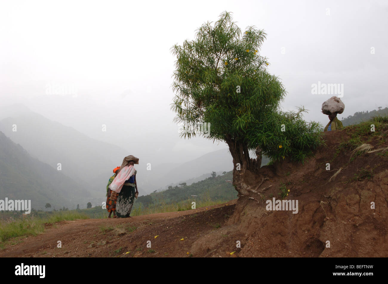 Bakonzo tribe, Rwenzori Mountains, West Uganda, Africa Stock Photo - Alamy