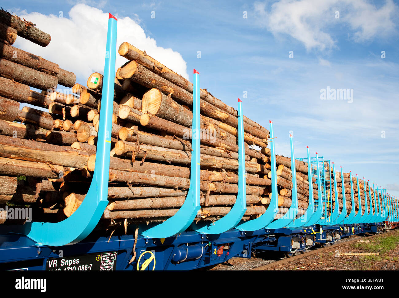 Train load of spruce ( picea abies ) logs on log train flatcars ...