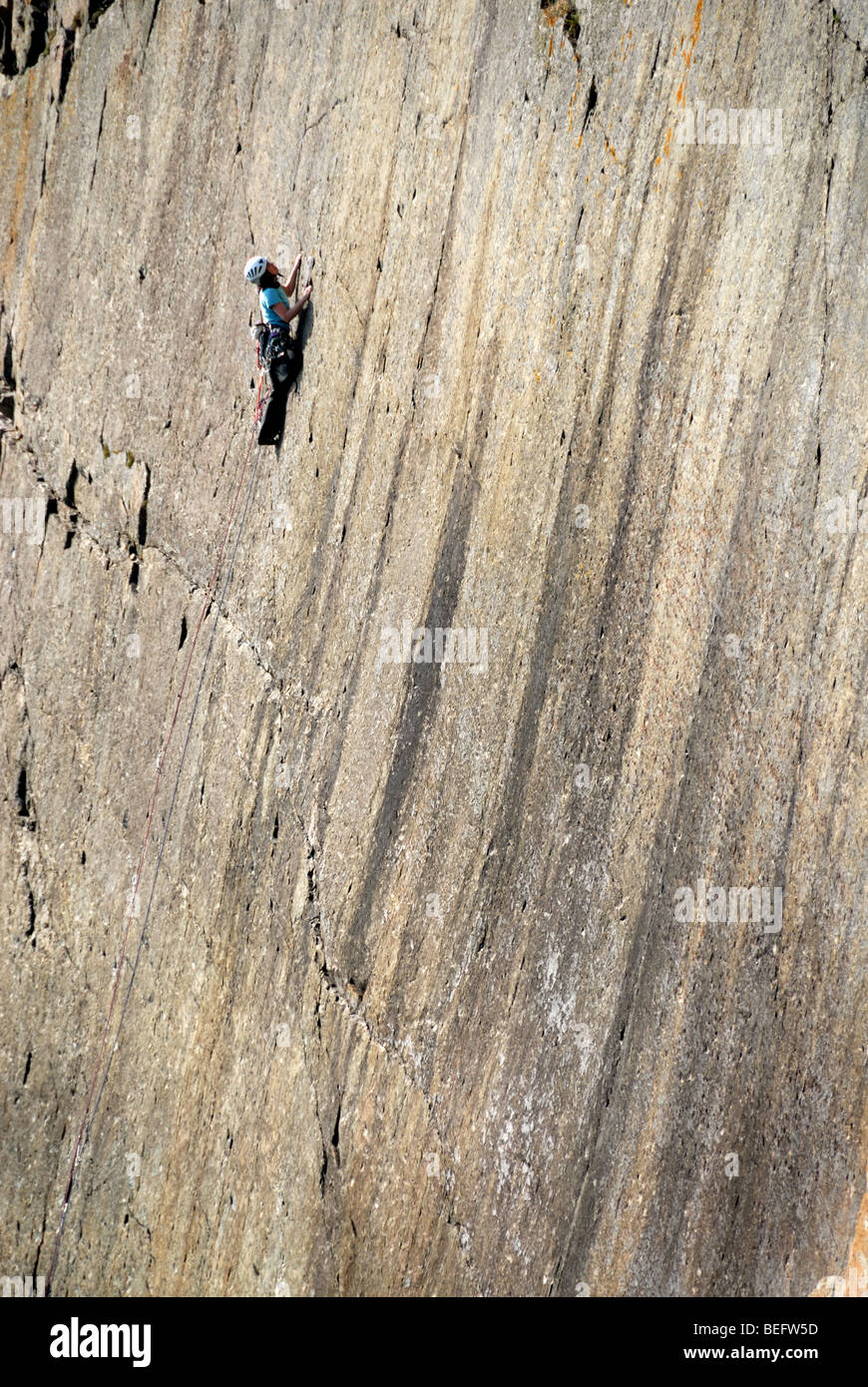 Barcud hi-res stock photography and images - Alamy