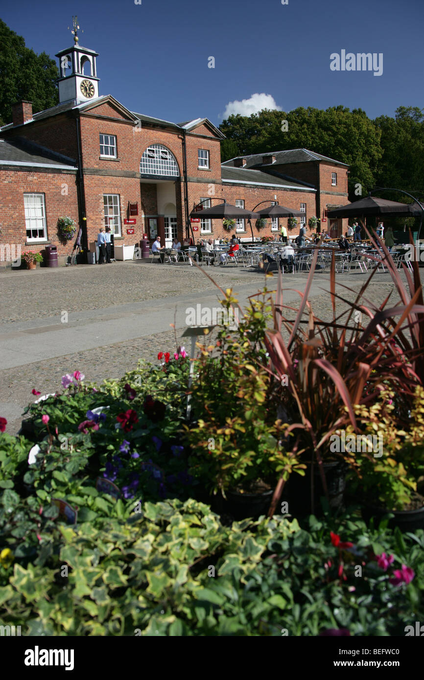 Estate of Tatton Park, England. Visitors enjoying refreshments at the ...