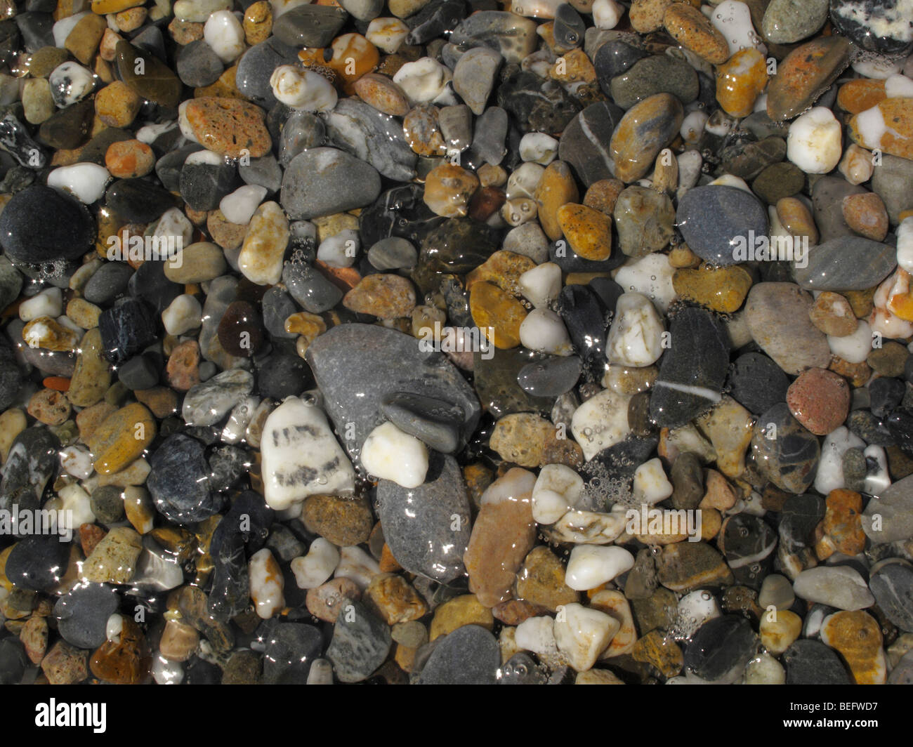 Pebbles on beach in Ceriale,Ligure,Italy,Europe Stock Photo - Alamy