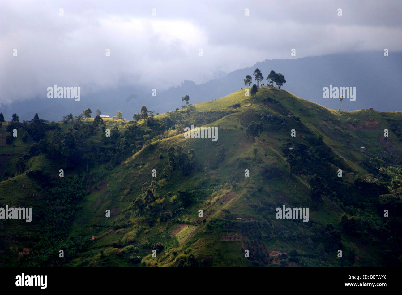 Mountains of the Moon, Rwenzori Mountains, West Uganda, Africa Stock ...