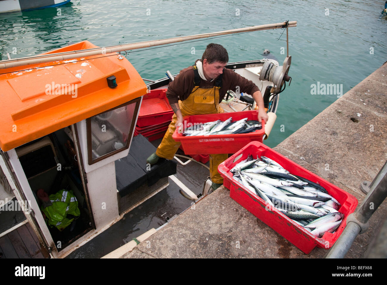 Mackerel catch england hi-res stock photography and images - Alamy