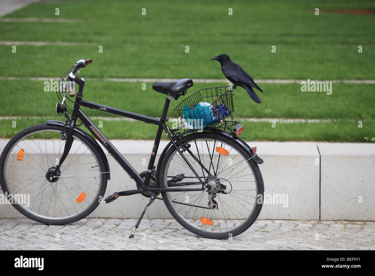 Crow rest hi-res stock photography and images - Alamy