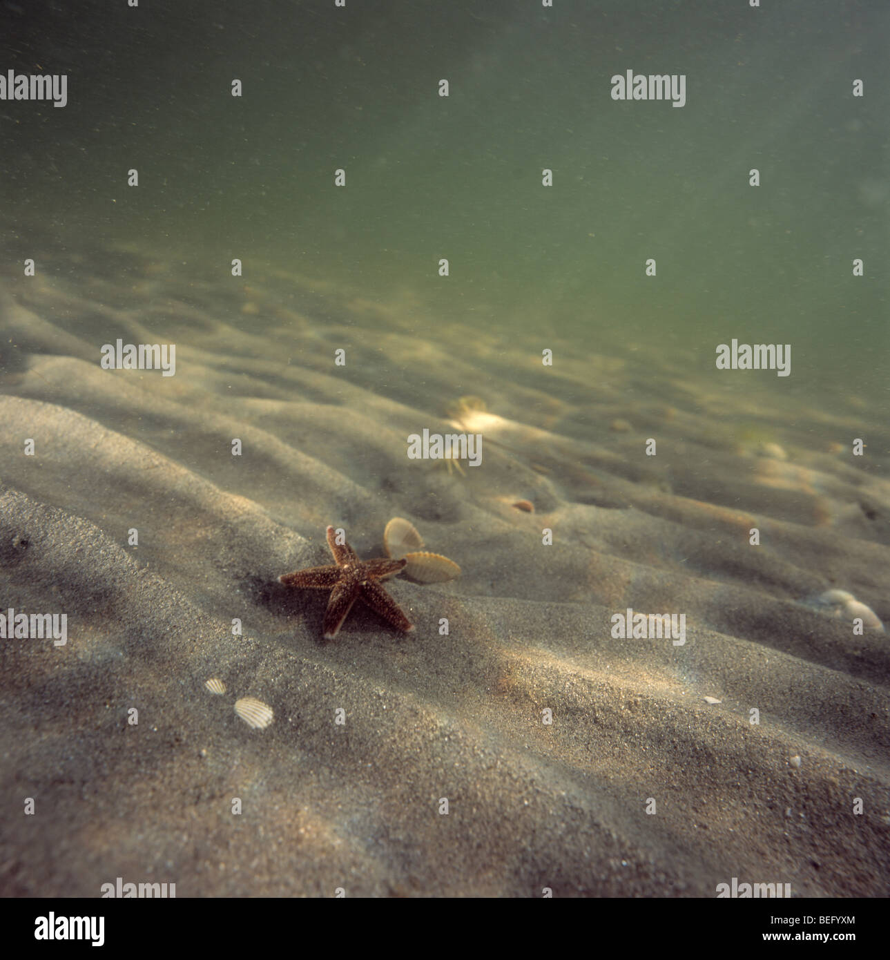 Sweden sand hi-res stock photography and images - Alamy