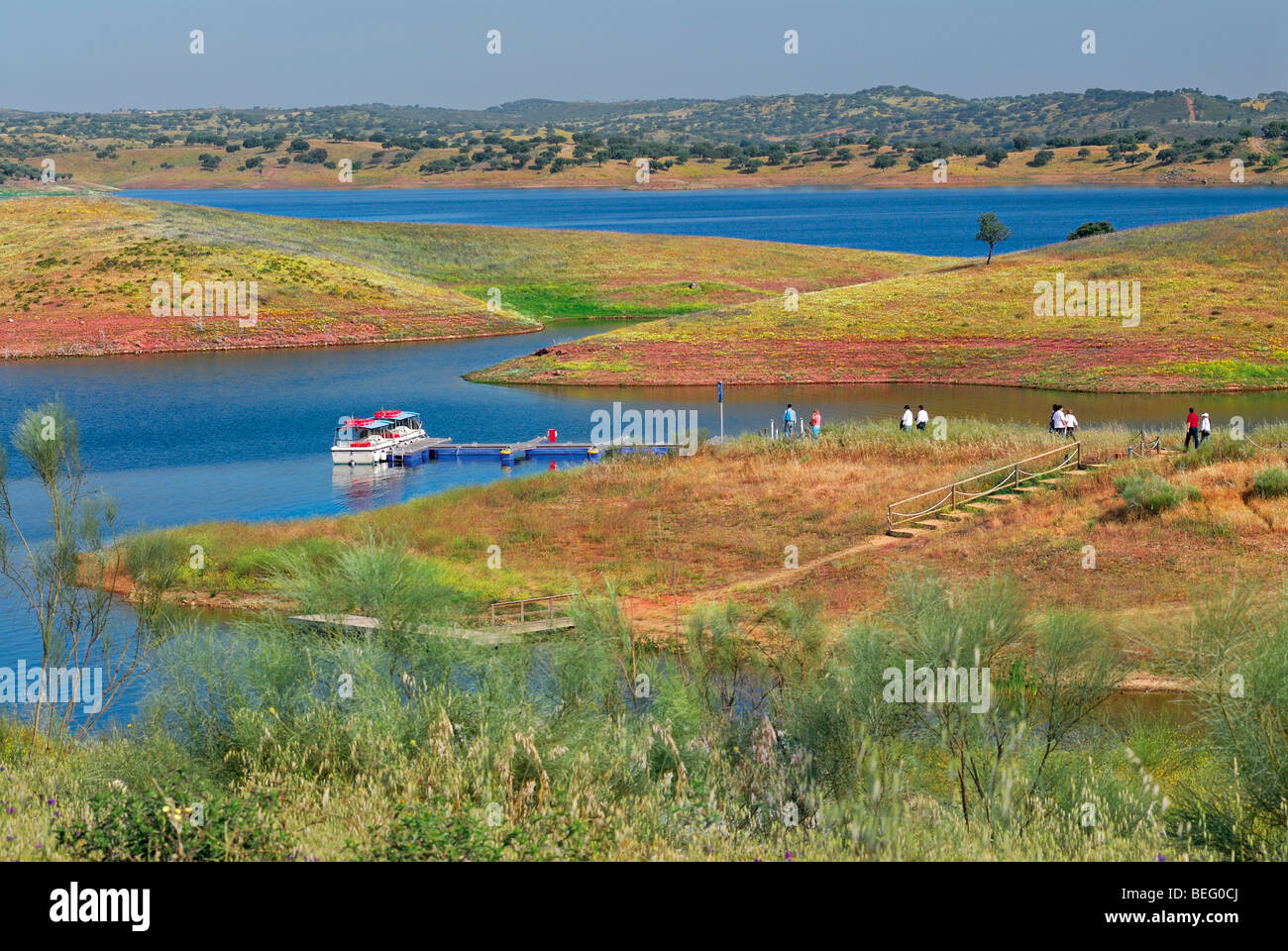 Portugal, Alentejo: Flooded landscape of the Barrage of Alqueva Stock ...