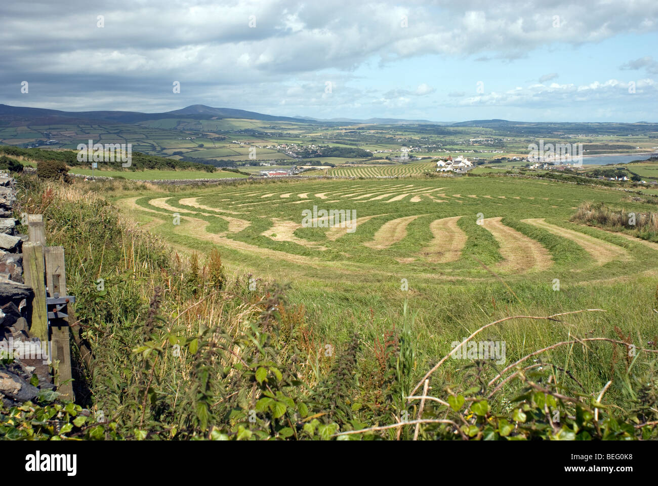 Grass patterns hi-res stock photography and images - Alamy