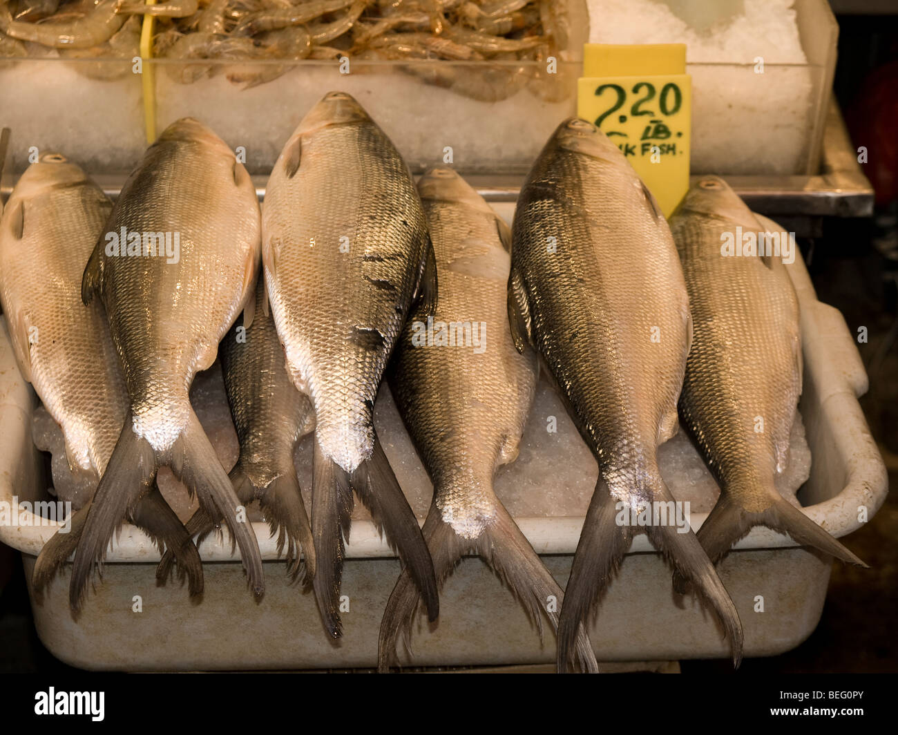 Row over fishing hi-res stock photography and images - Alamy