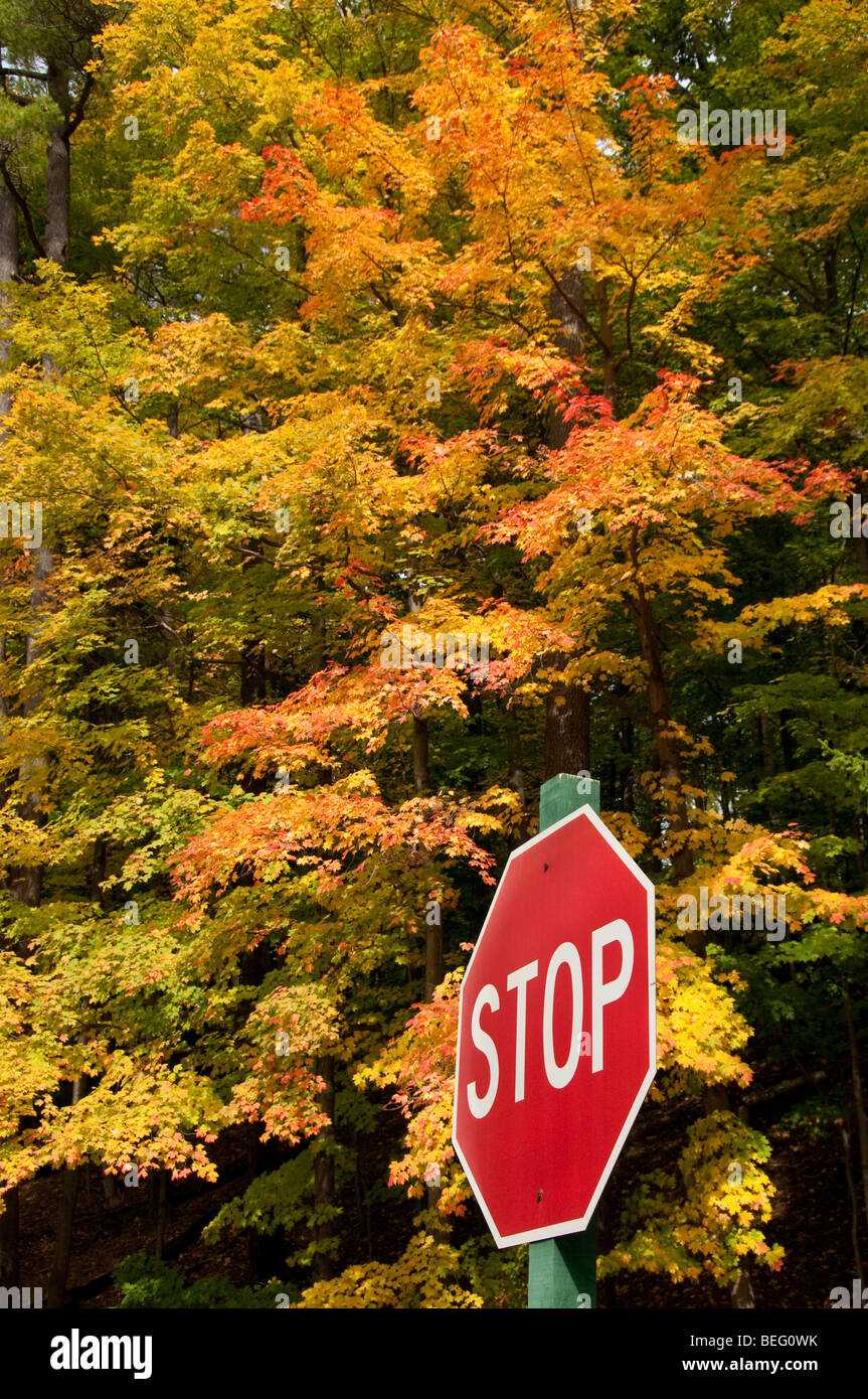 Autumn colors and stop sign Stock Photo - Alamy