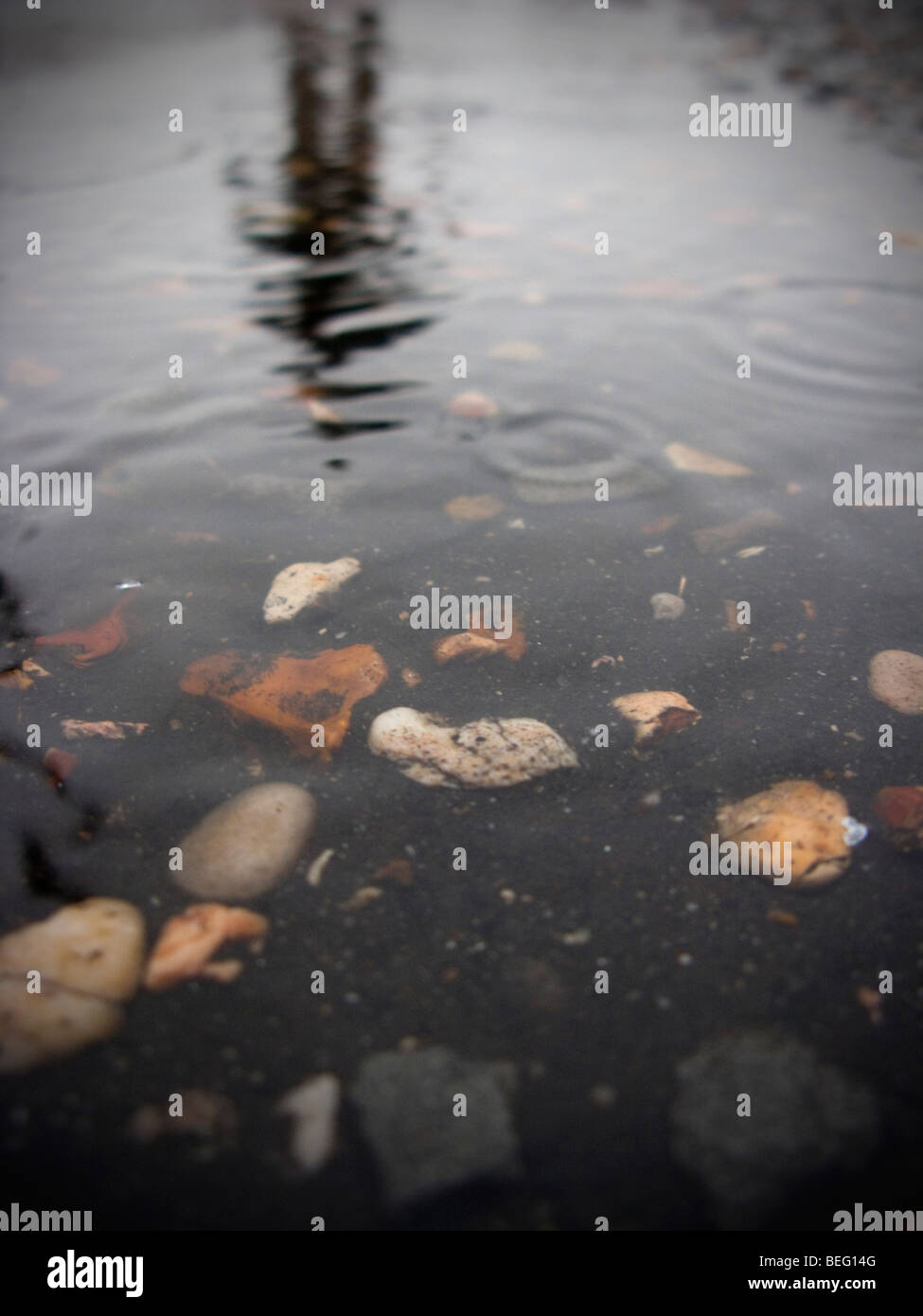 Rain puddle close hi-res stock photography and images - Alamy