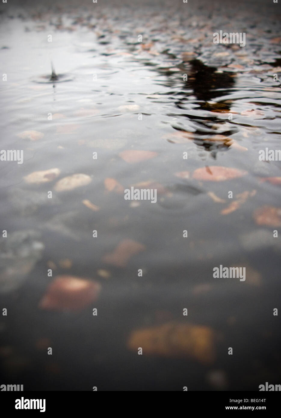 Rain puddle close hi-res stock photography and images - Alamy