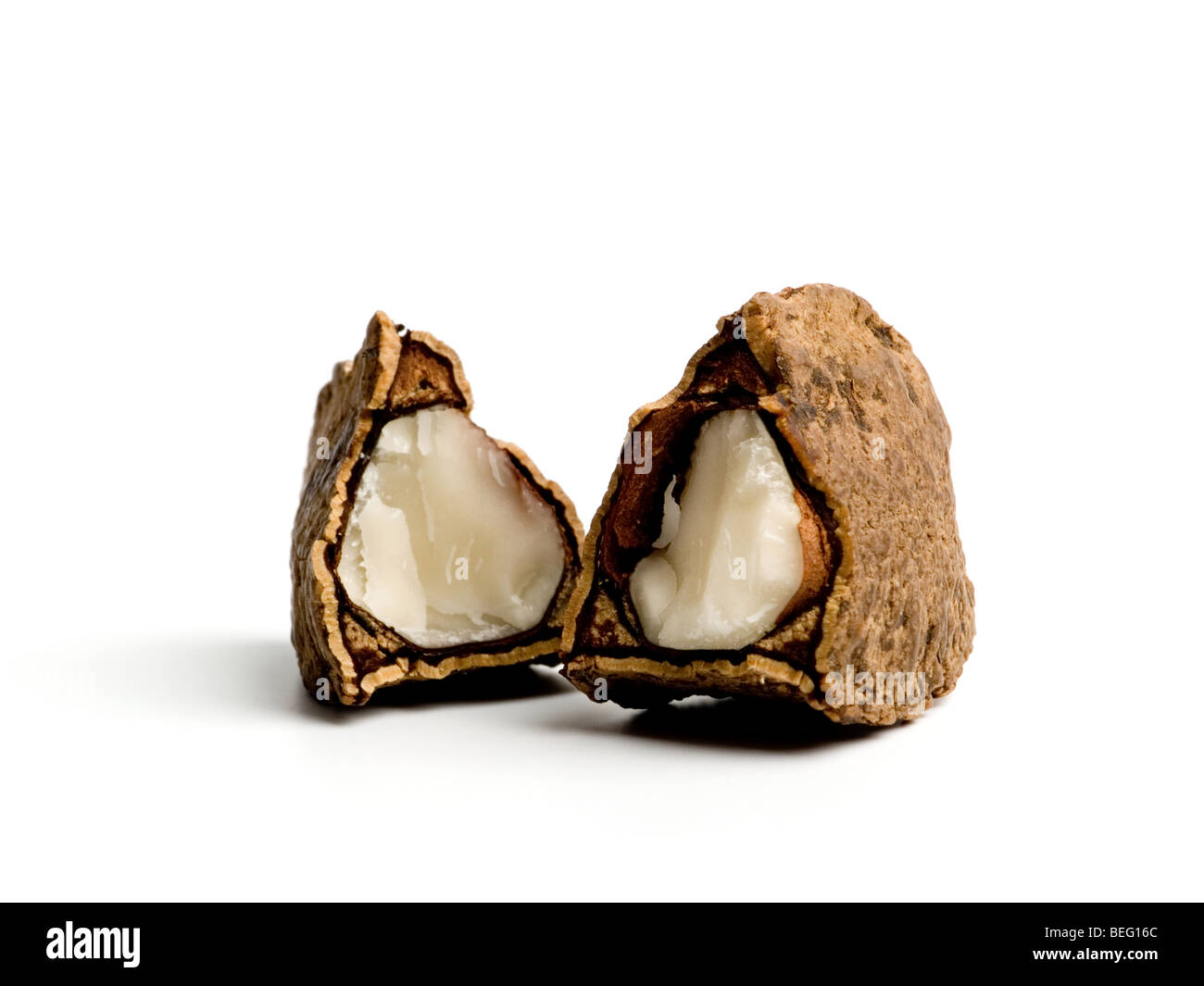Brazilian nuts close up on white background Stock Photo - Alamy