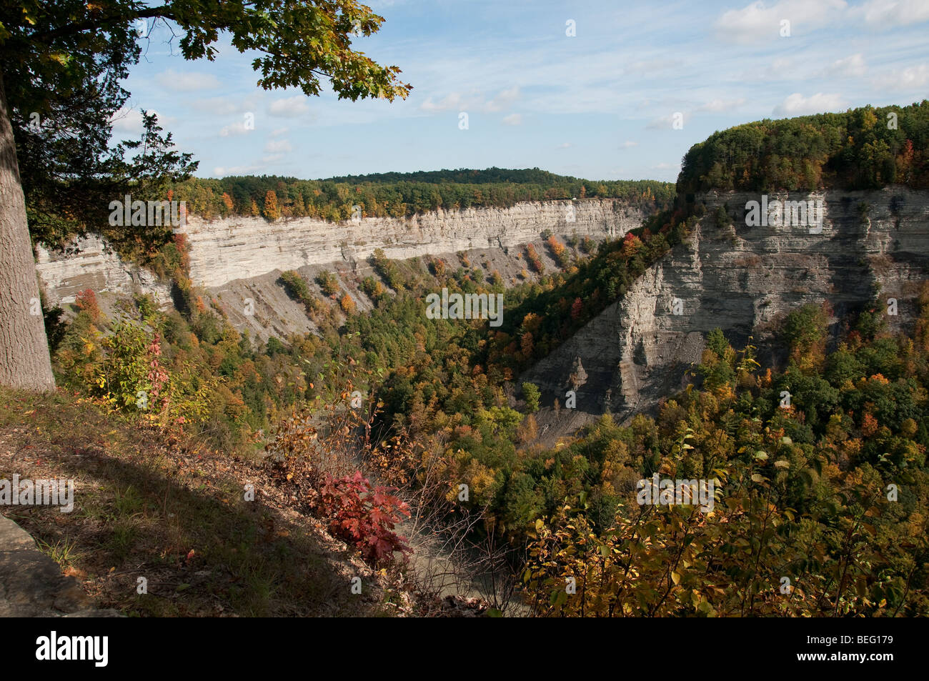 Genesee river Gorge at Letchworth State Park, NY USA Stock Photo - Alamy