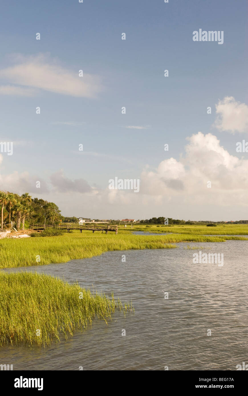 St augustine salt marsh hi-res stock photography and images - Alamy