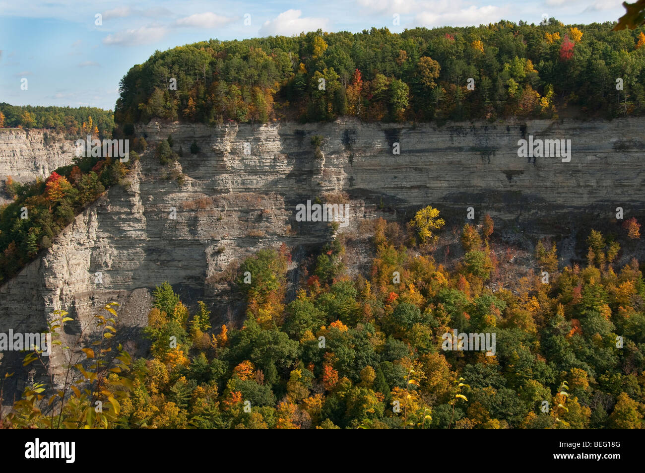 Genesee river Gorge at Letchworth State Park, NY USA Stock Photo - Alamy