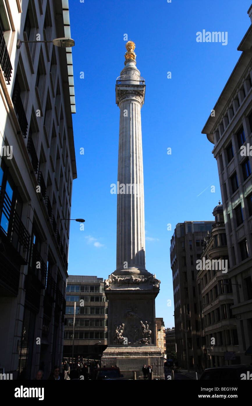 monument of London among modern buildings Stock Photo - Alamy