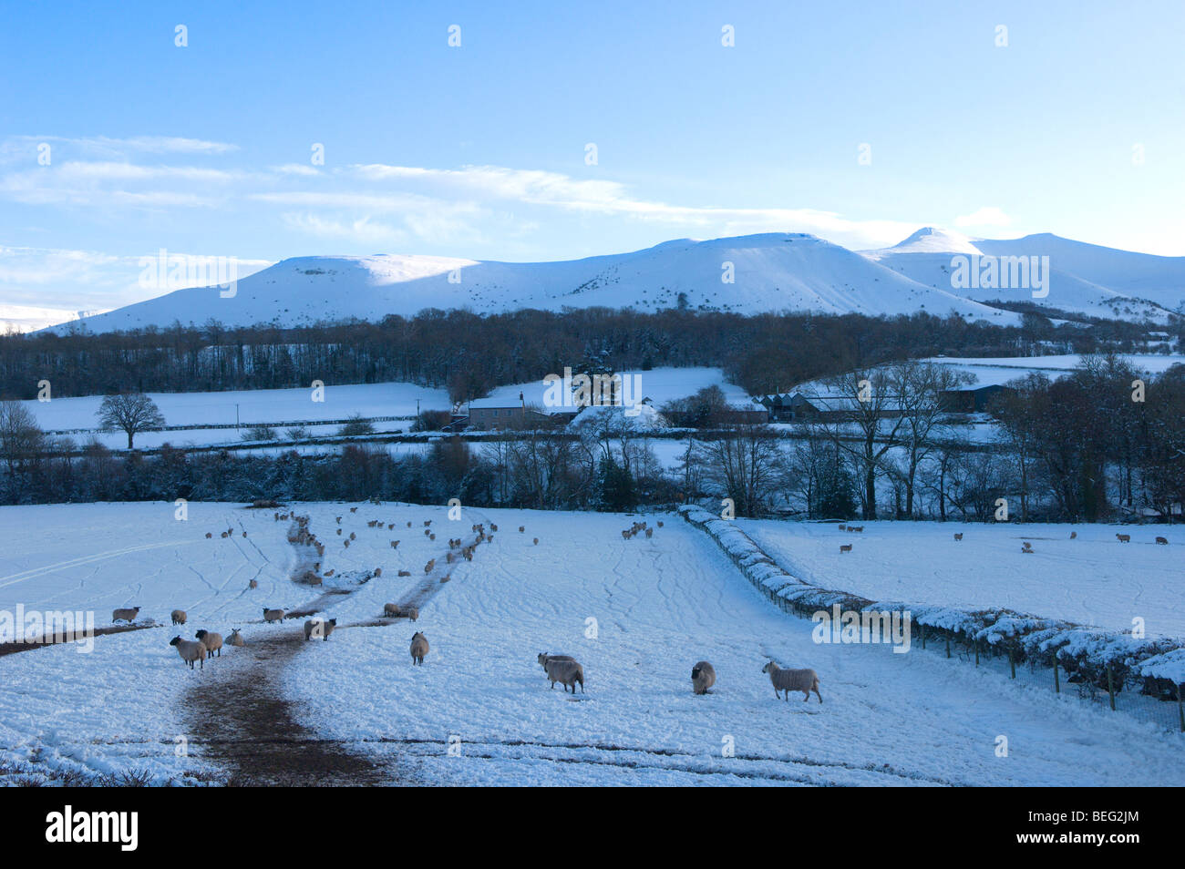 Brecon Beacons National Park, Wales, United Kingdom Stock Photo - Alamy
