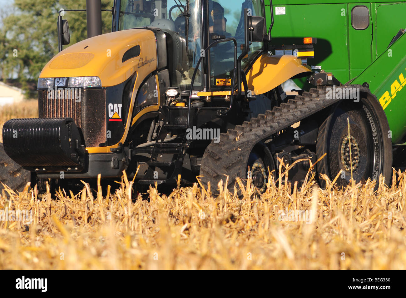 Cat challenger hi-res stock photography and images - Alamy