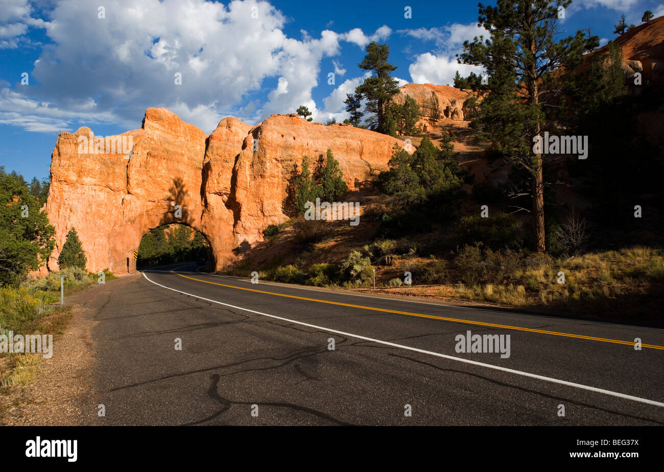 Red canyon hi-res stock photography and images - Alamy