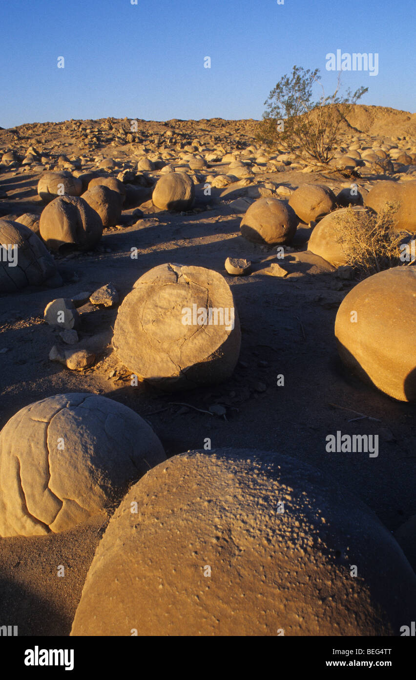 Pumpkin Patch, Geologic Formations, Anza-Borrego Desert, California ...