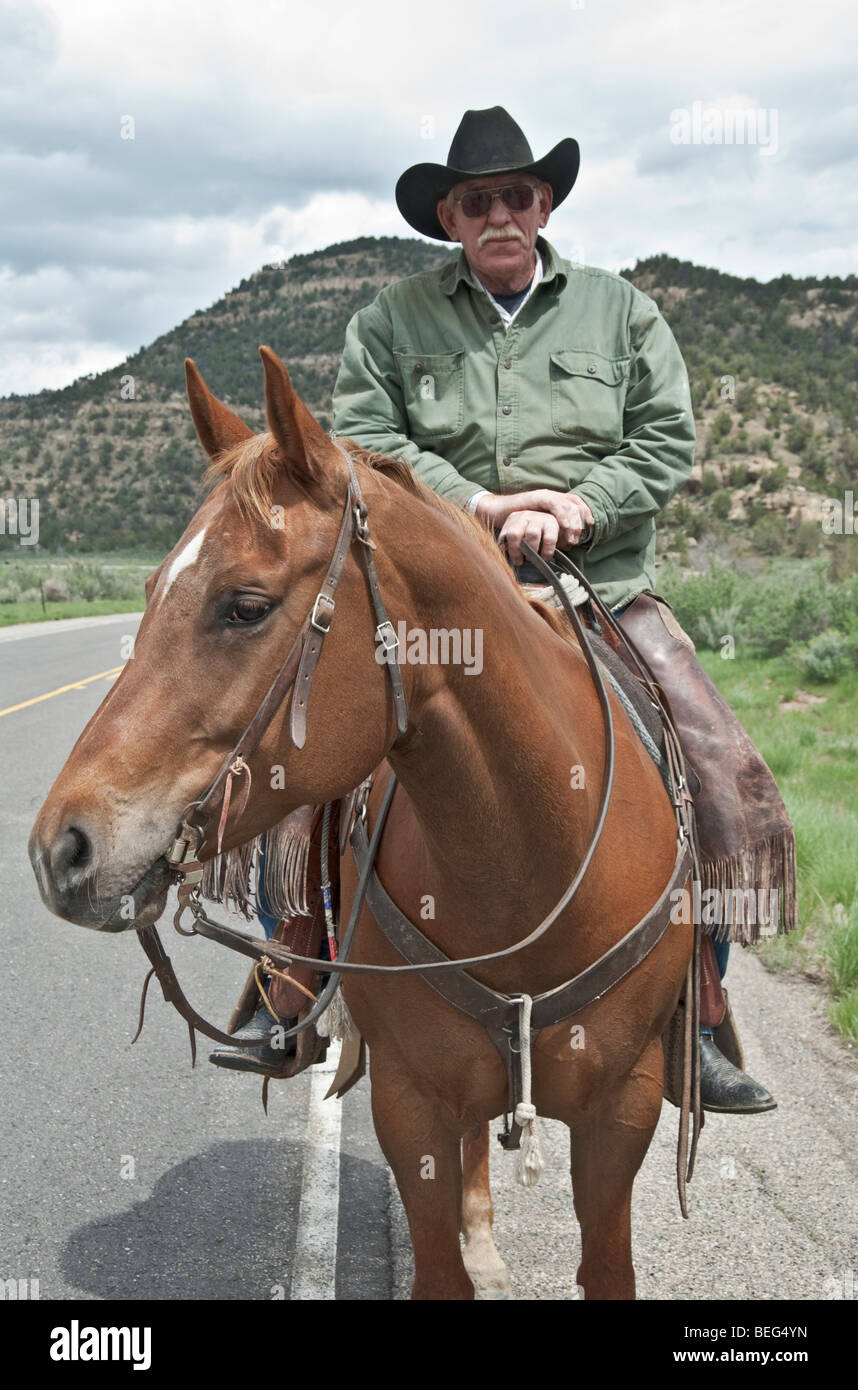 cowboy on horse western Colorado Stock Photo - Alamy