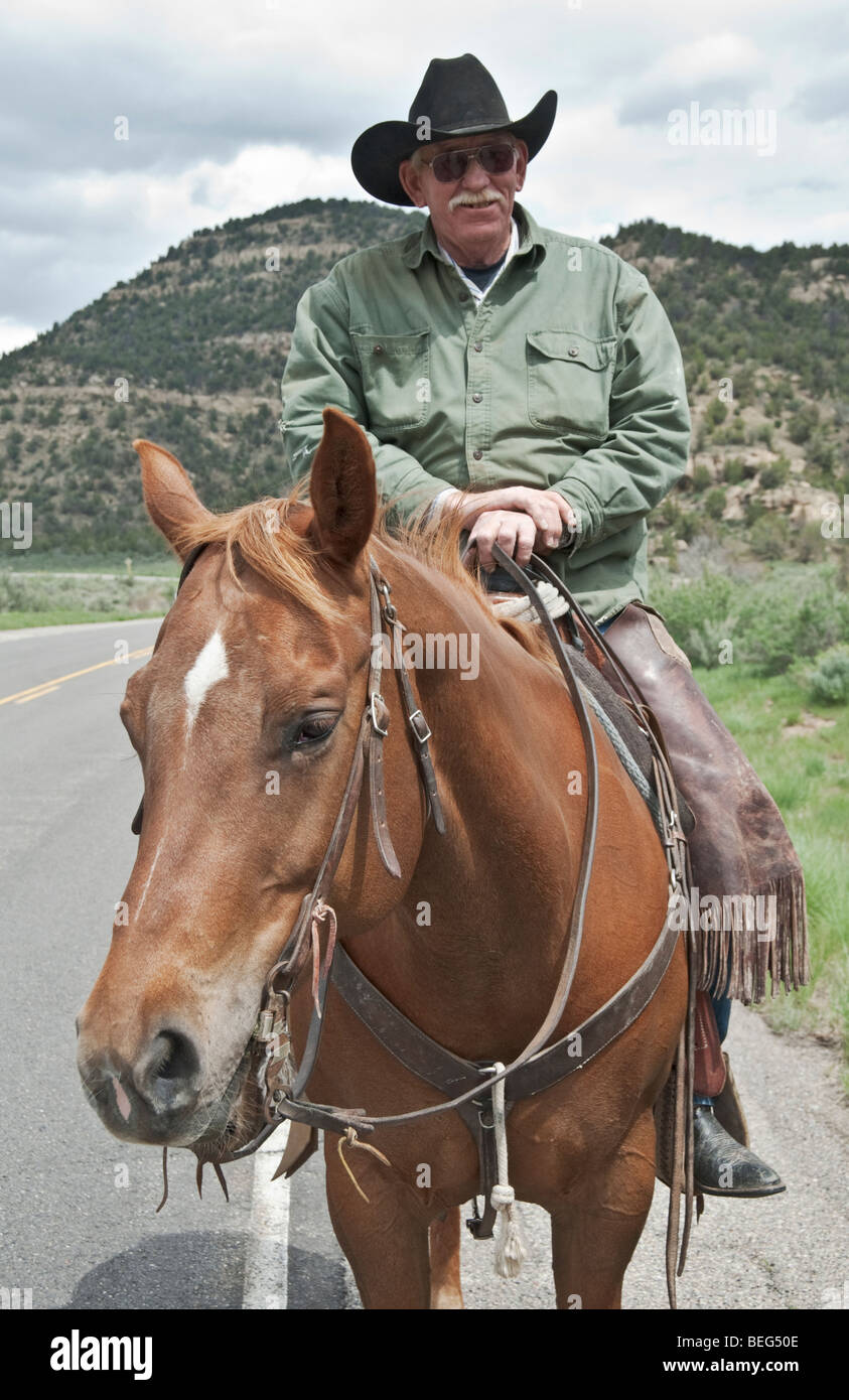 cowboy on horse western Colorado Stock Photo - Alamy