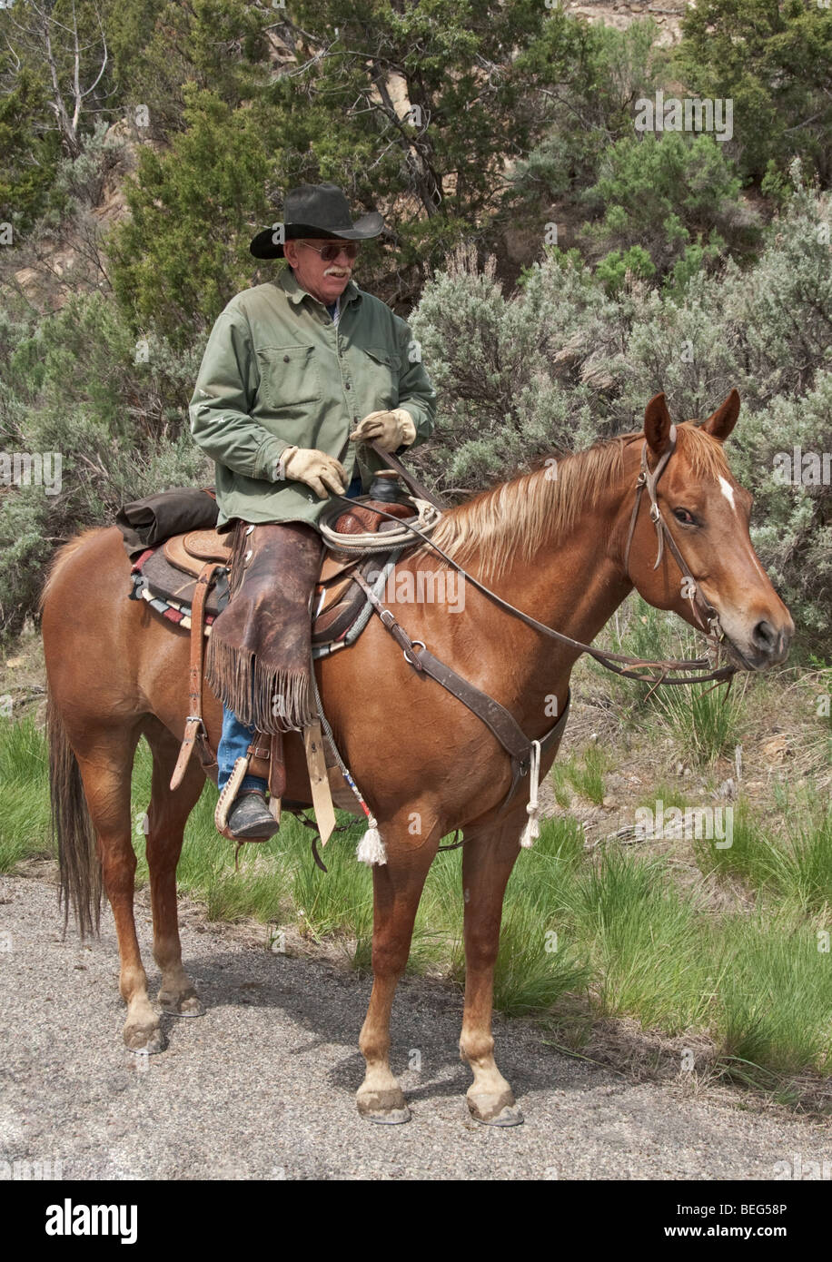 cowboy on horse western Colorado Stock Photo - Alamy