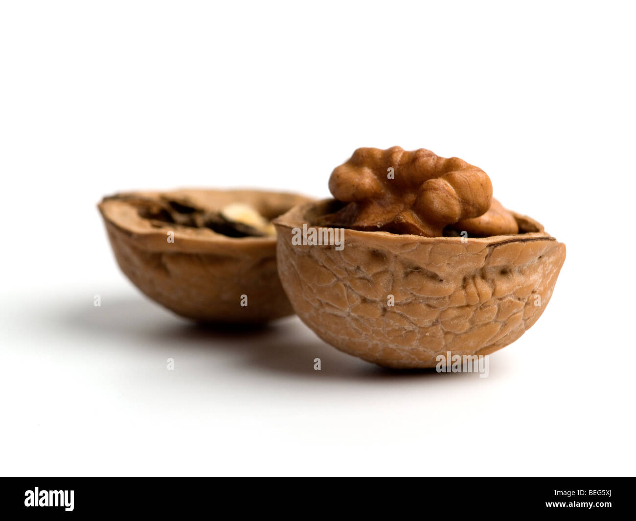 Single opened walnut close up on white background Stock Photo - Alamy