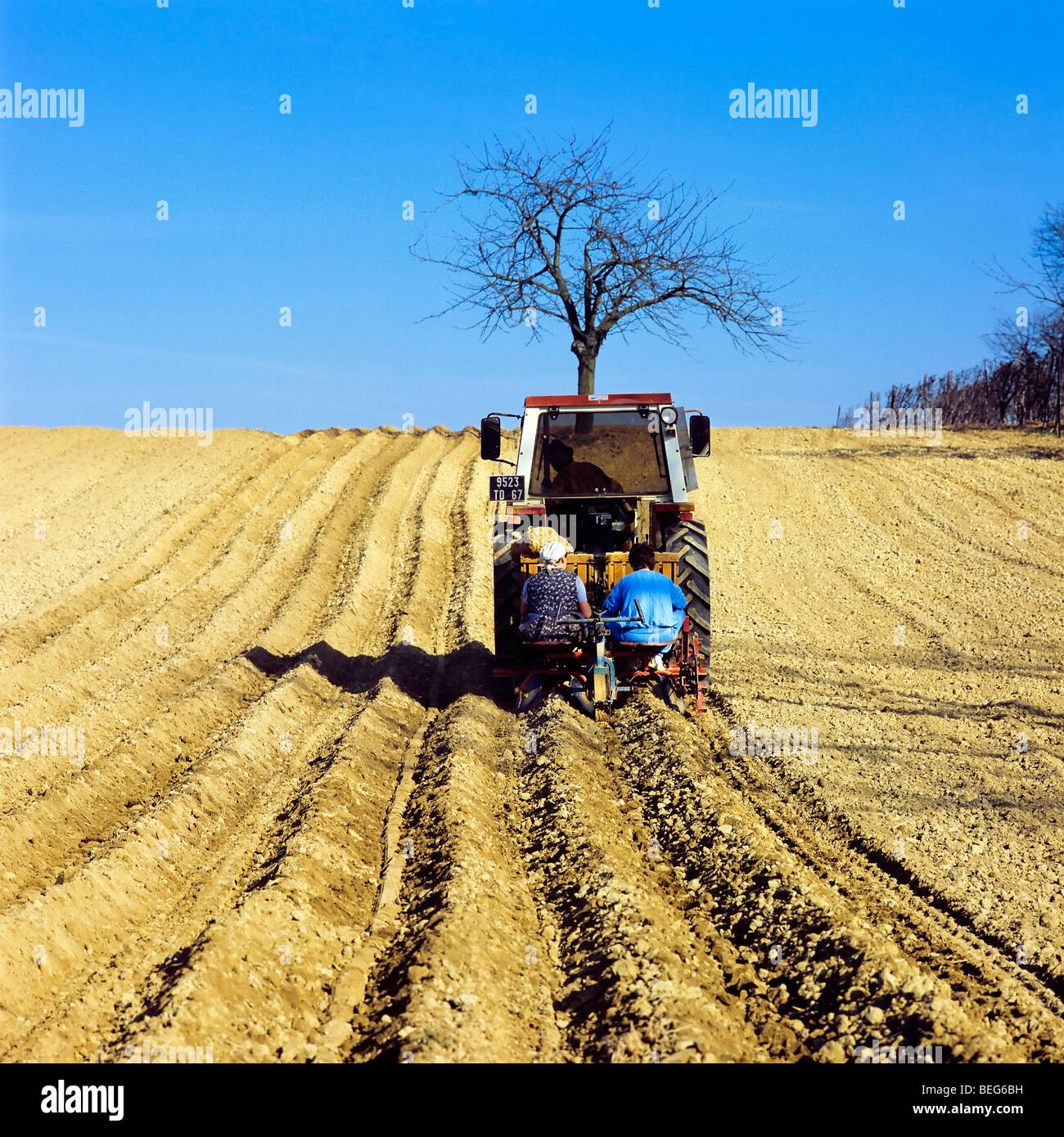 Mechanical tree planter hi-res stock photography and images - Alamy