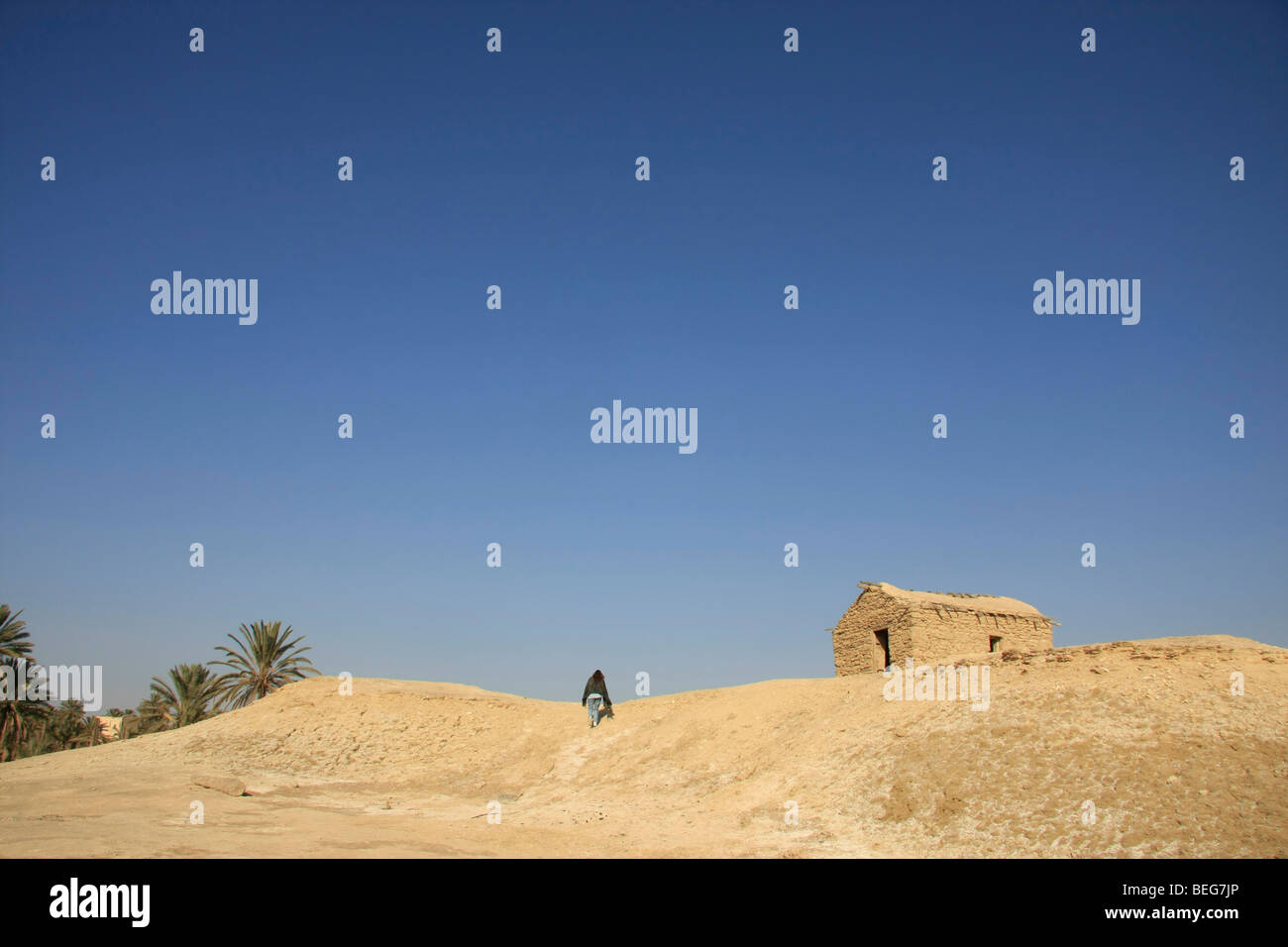Jordan Valley, the old Date Palm farm of Deir Hajla Monastery Stock ...