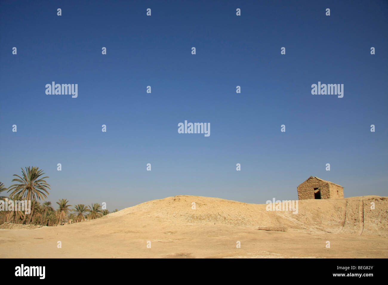 Jordan Valley, the old Date Palm farm of Deir Hajla Monastery Stock ...