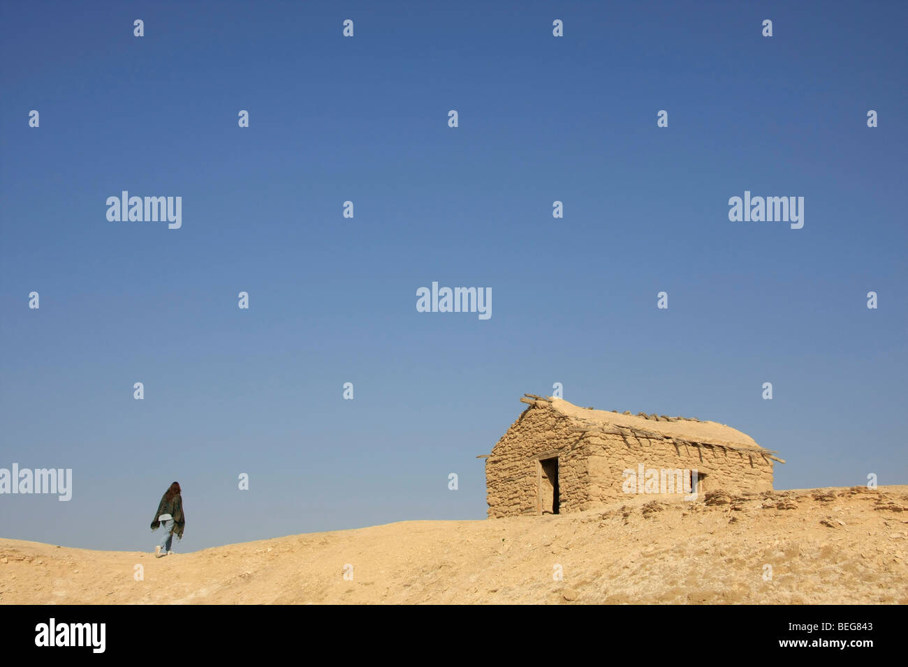 Jordan Valley, the old Date Palm farm of Deir Hajla Monastery Stock ...