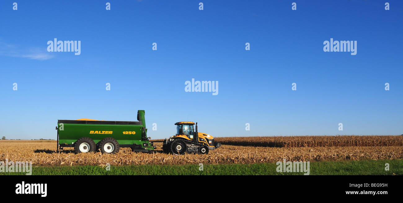 A Cat or Caterpillar Challenger farm tractor pulls a Balzer grain wagon ...