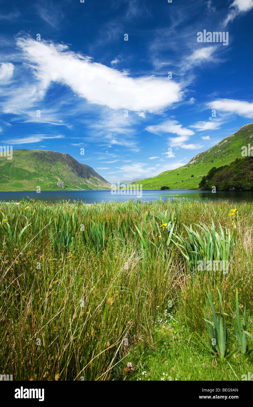 Crummock Water Shoreline And Mellbreak Summer In August, 'The Lake ...