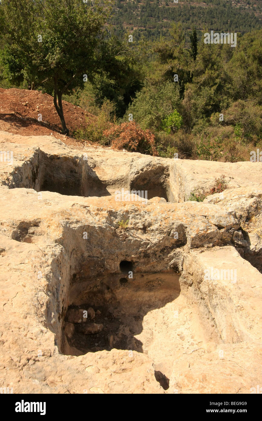 Gat israel hi-res stock photography and images - Alamy