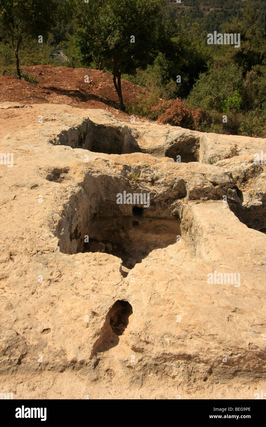 Gat israel hi-res stock photography and images - Alamy