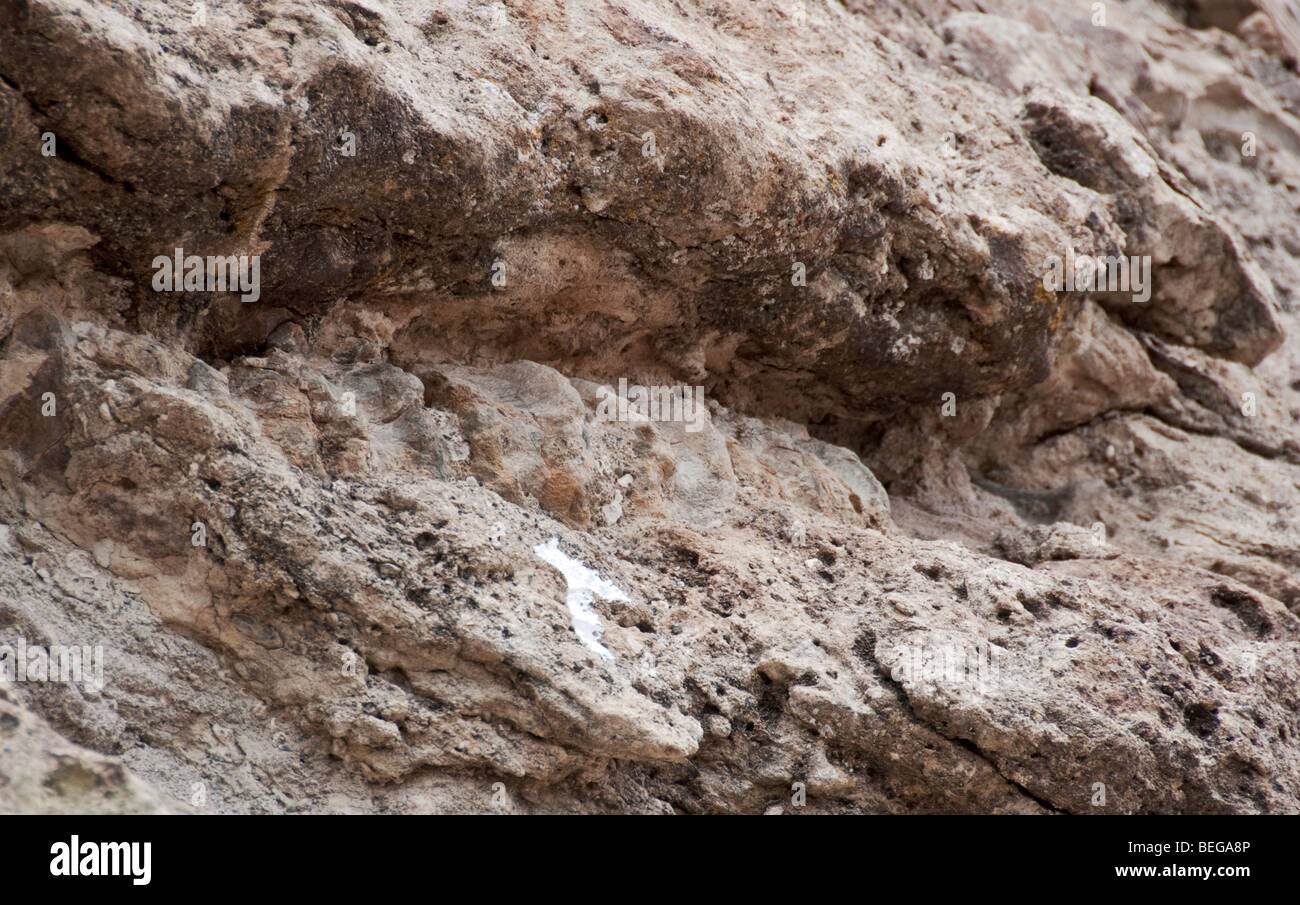 Colorado Dinosaur National Monument Fossil Discovery Trail white arrow ...