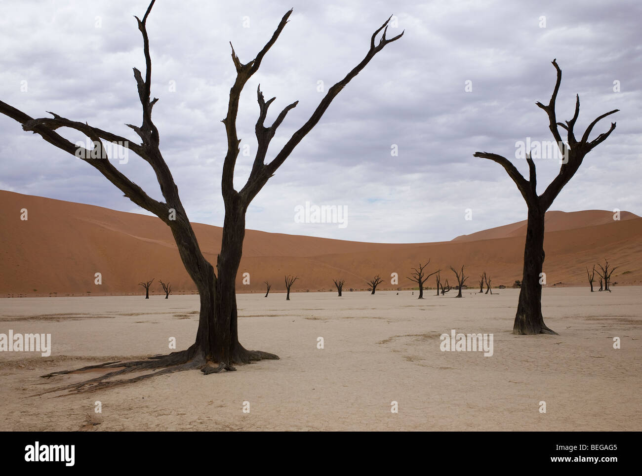 Dead Vlei, Namibia Stock Photo - Alamy