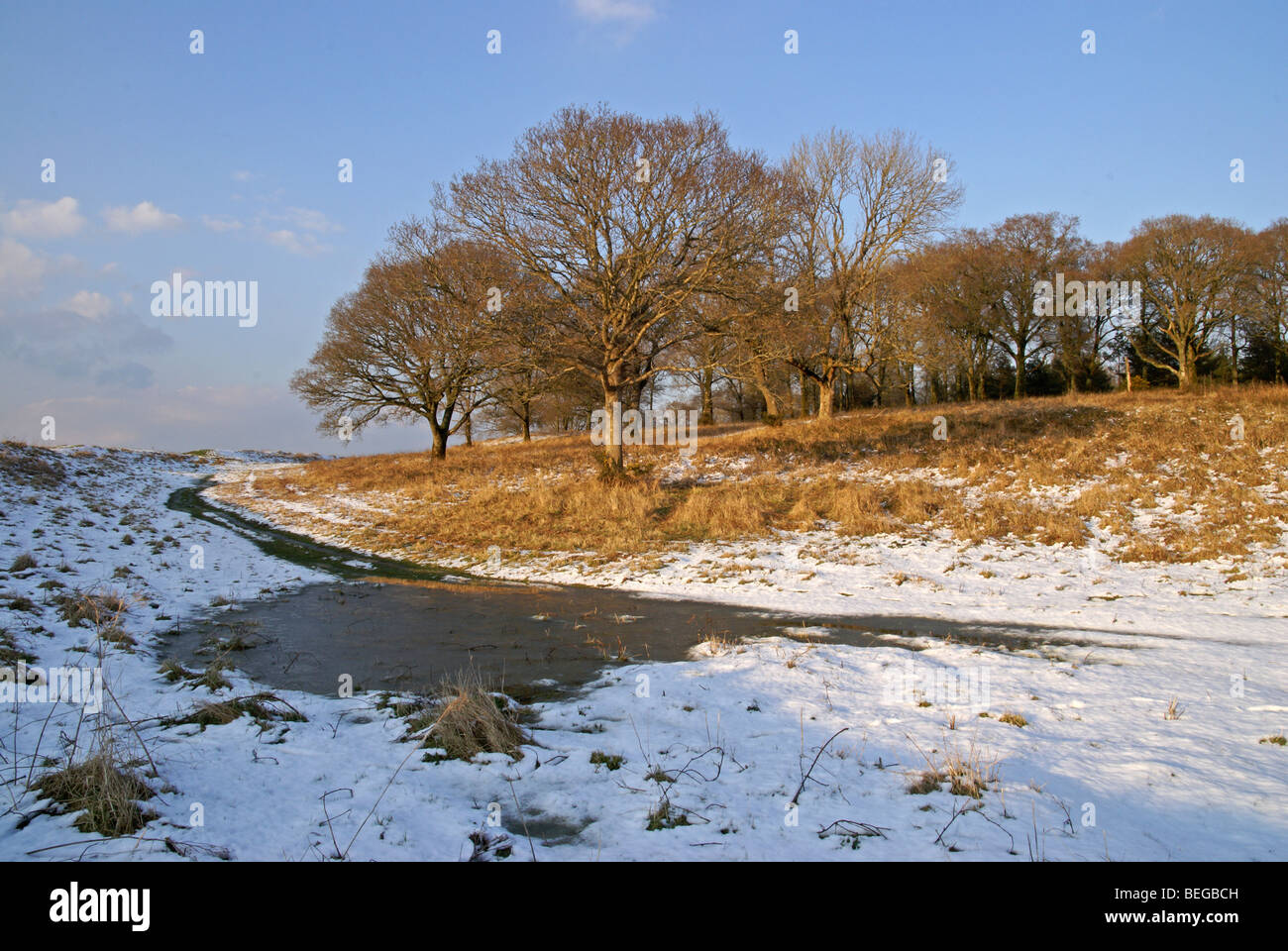 winter landscape at badbury rings dorset with bare trees snow ice blue ...