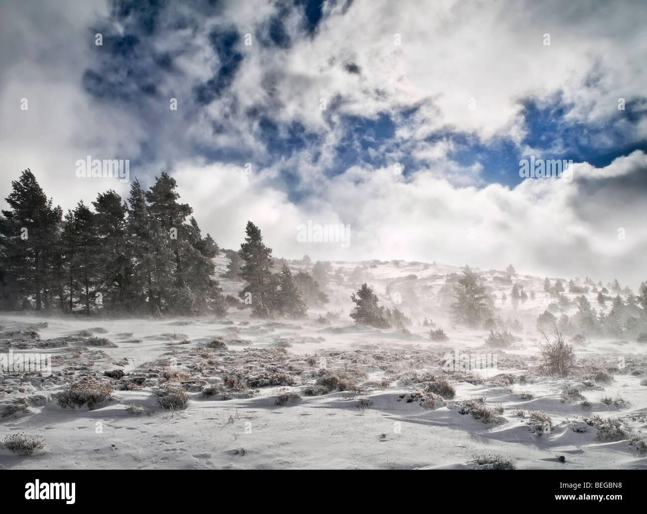 Snowy landscape during a wind storm Stock Photo - Alamy