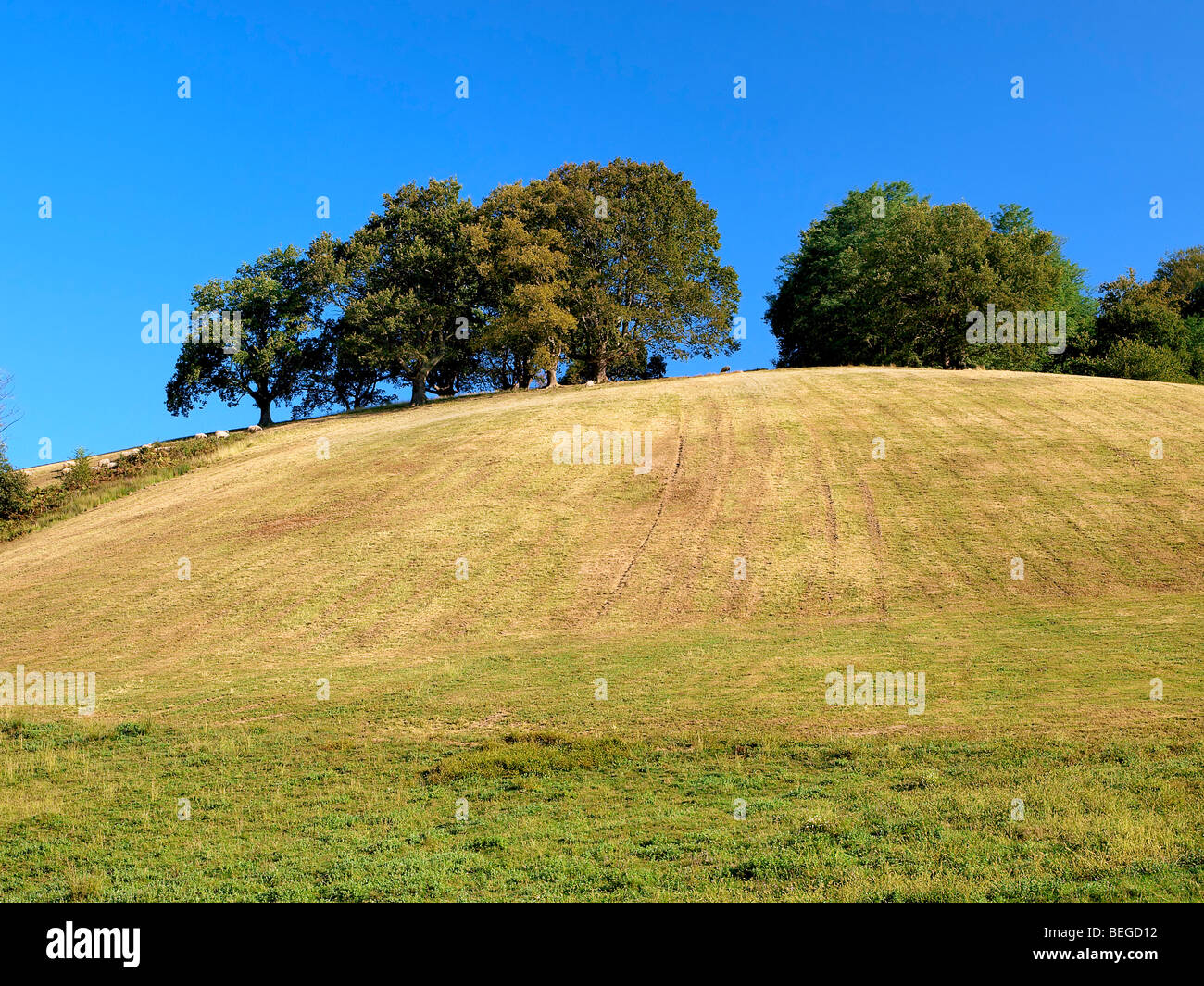 France basque country landscape hi-res stock photography and images - Alamy
