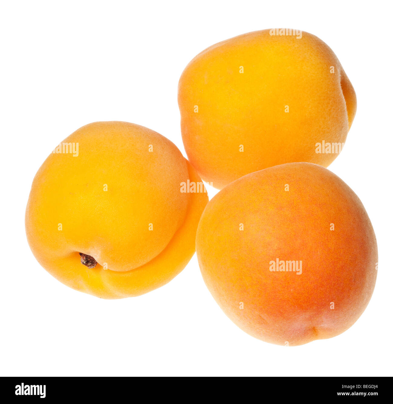 apricot isolated on a pure white background Stock Photo - Alamy