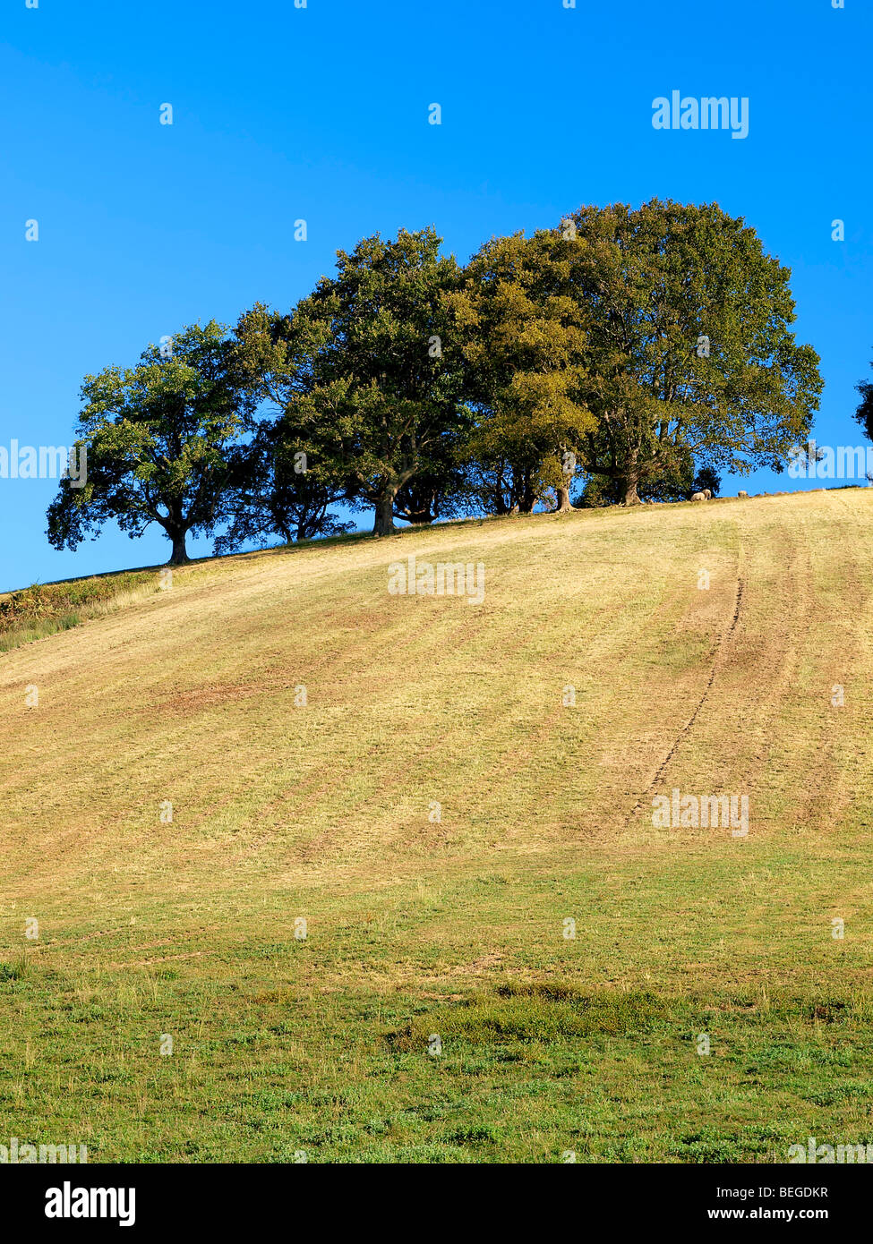 France basque country landscape hi-res stock photography and images - Alamy