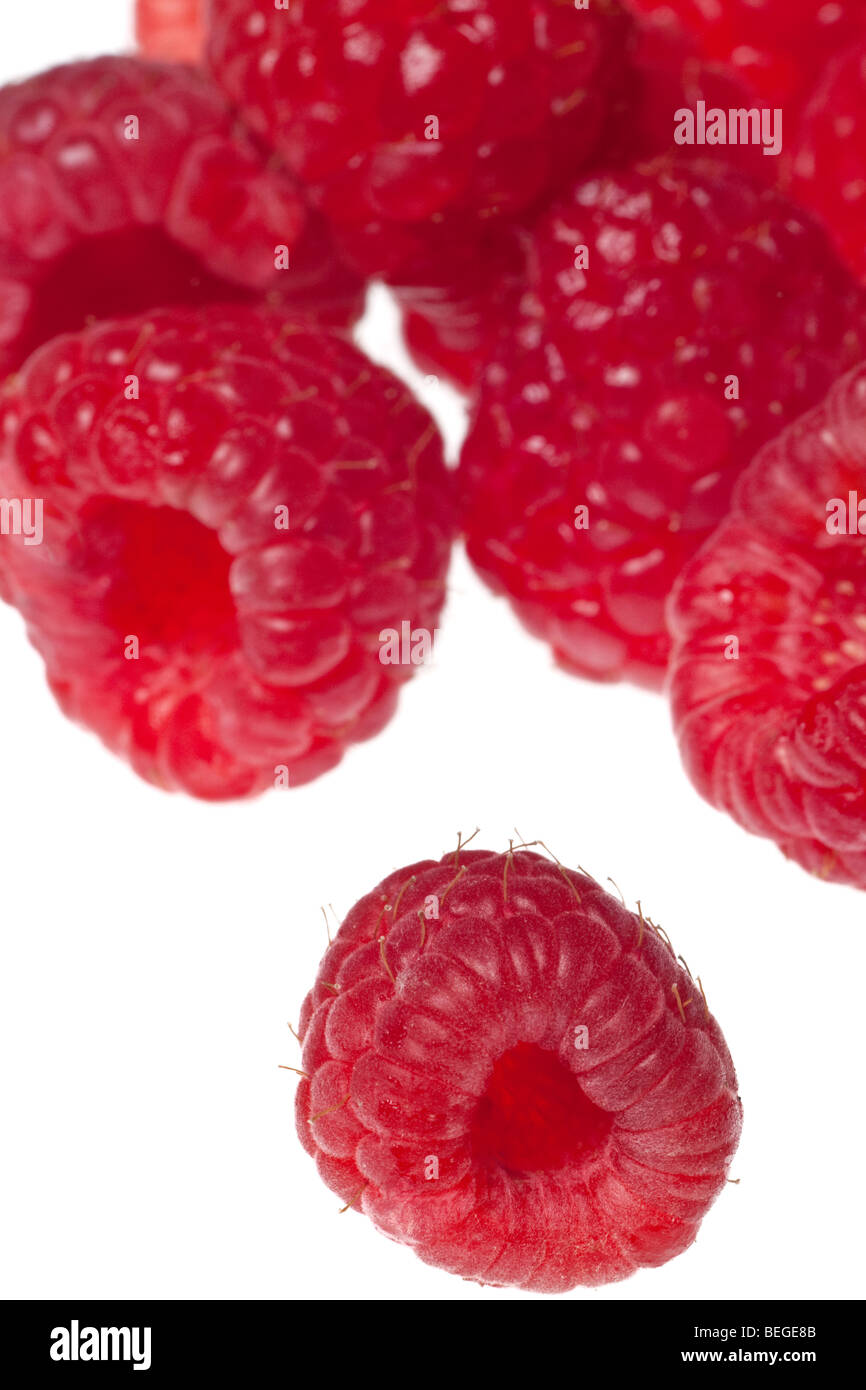 raspberry isolated on a pure white background Stock Photo - Alamy