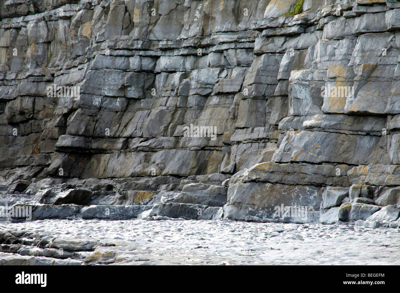 Pale grey limestone strata on a coastal cliff face Stock Photo - Alamy
